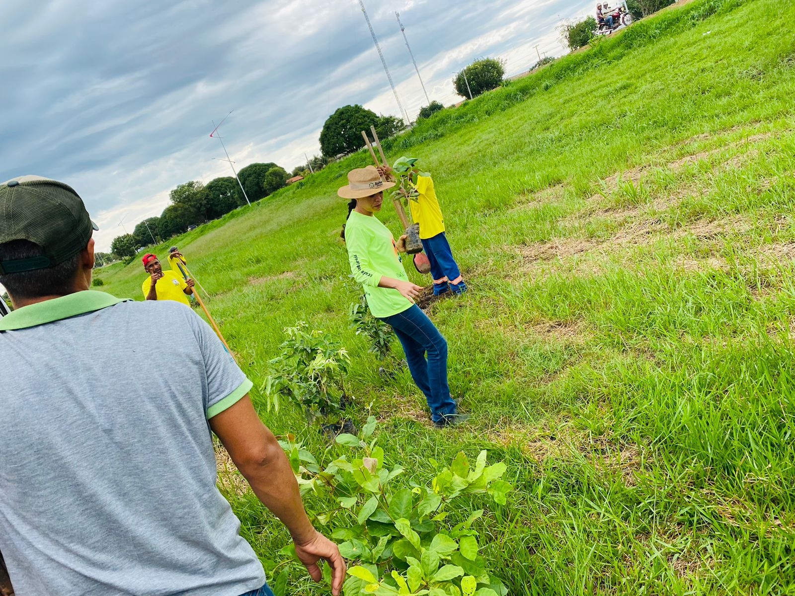 Projeto de reflorestamento realizou ação de plantio de mais de 200 ...